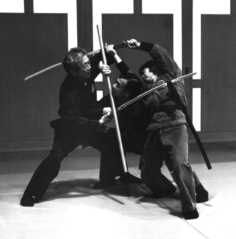 Bujinkan Budo Taijutsu – HANA DOJO
